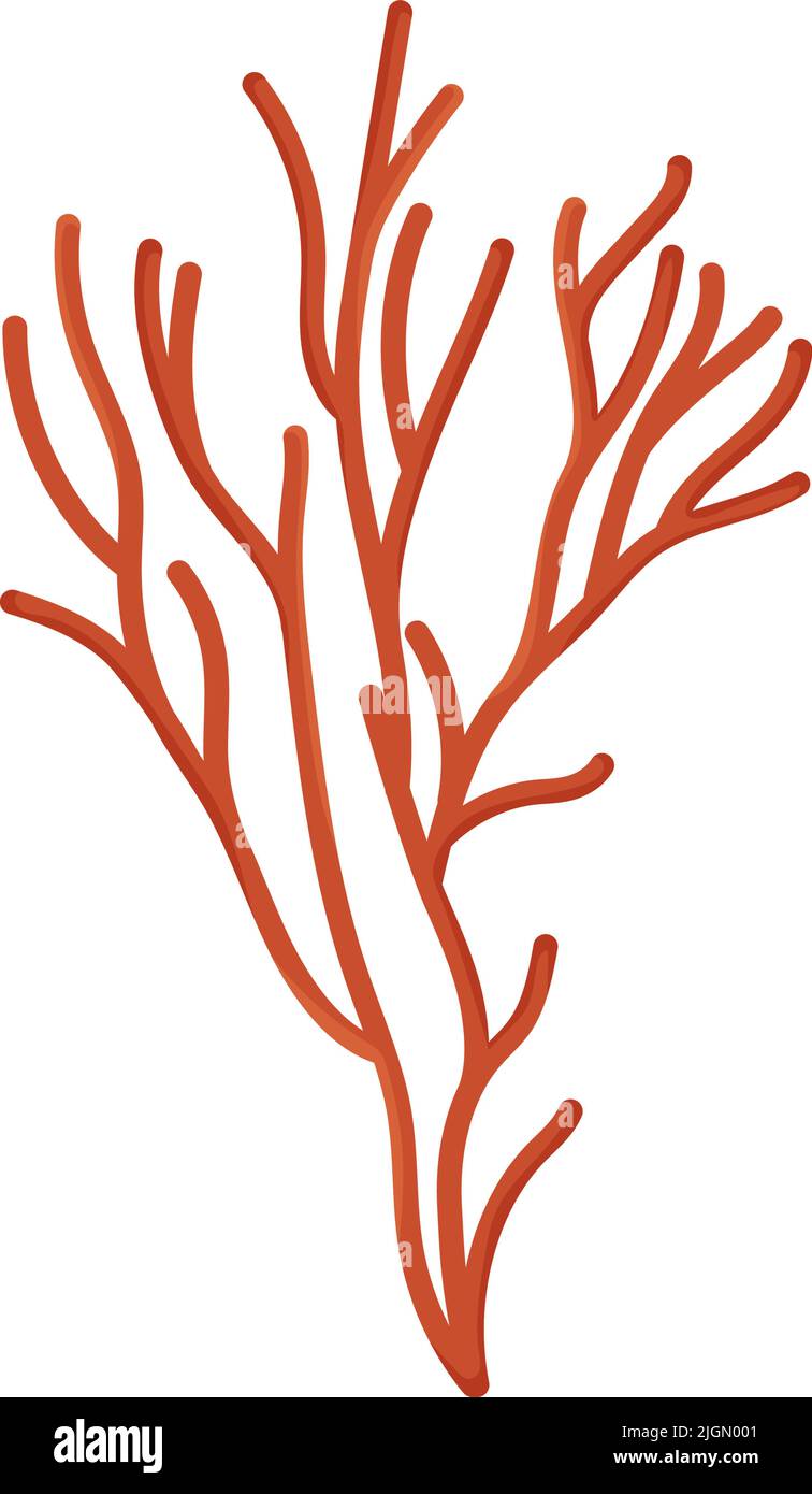 red branch coral Stock Vector Image & Art - Alamy