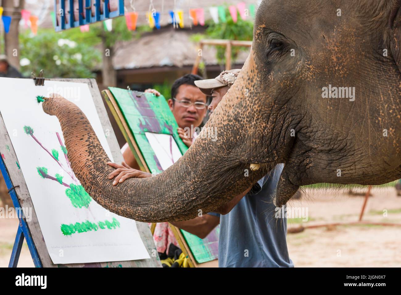 Elephant village, elephant show, painting, performance, Surin, Isan ...