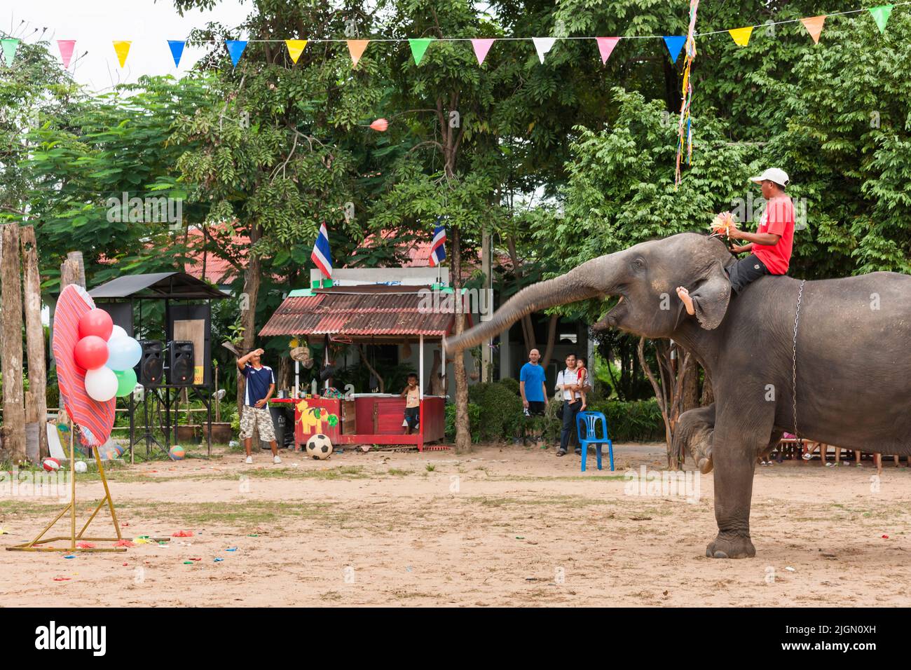 Elephant village, darts game, breaking balloons, elephant show ...