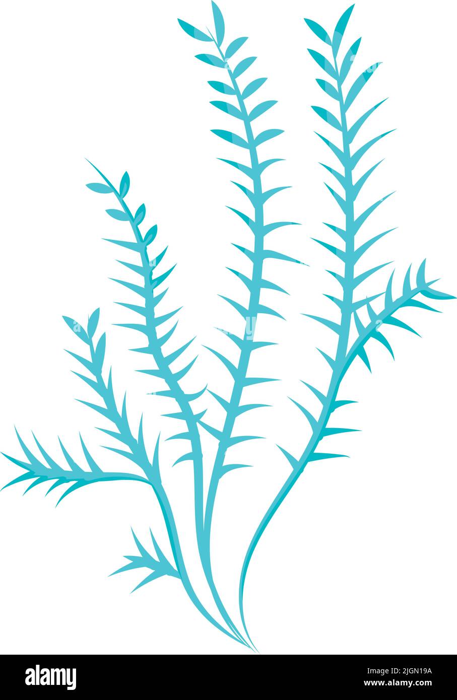 'blue coral' and fish Stock Vector Images - Alamy