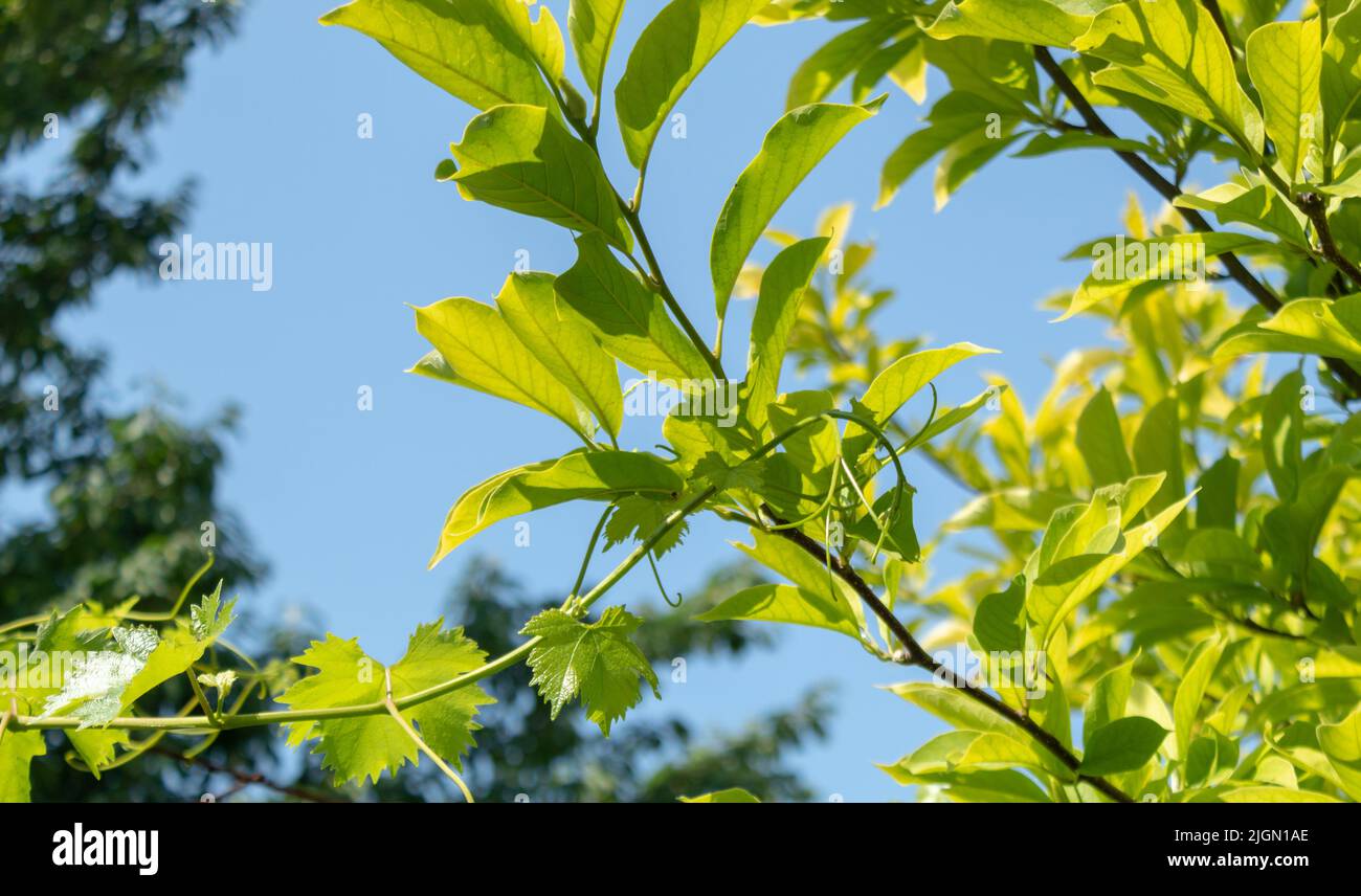 Mutual cooperation hi-res stock photography and images - Alamy