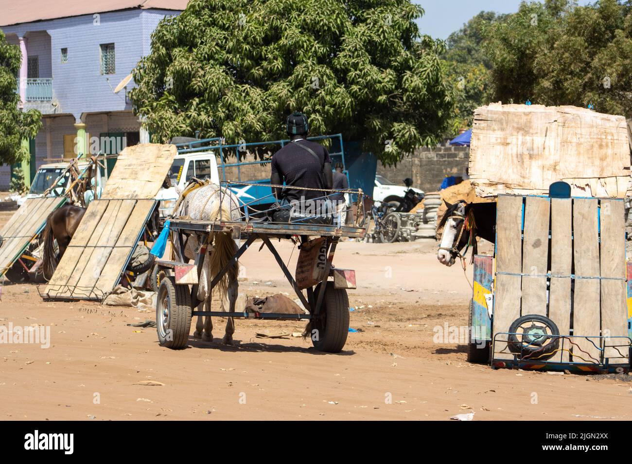 African cart horses hi-res stock photography and images - Alamy
