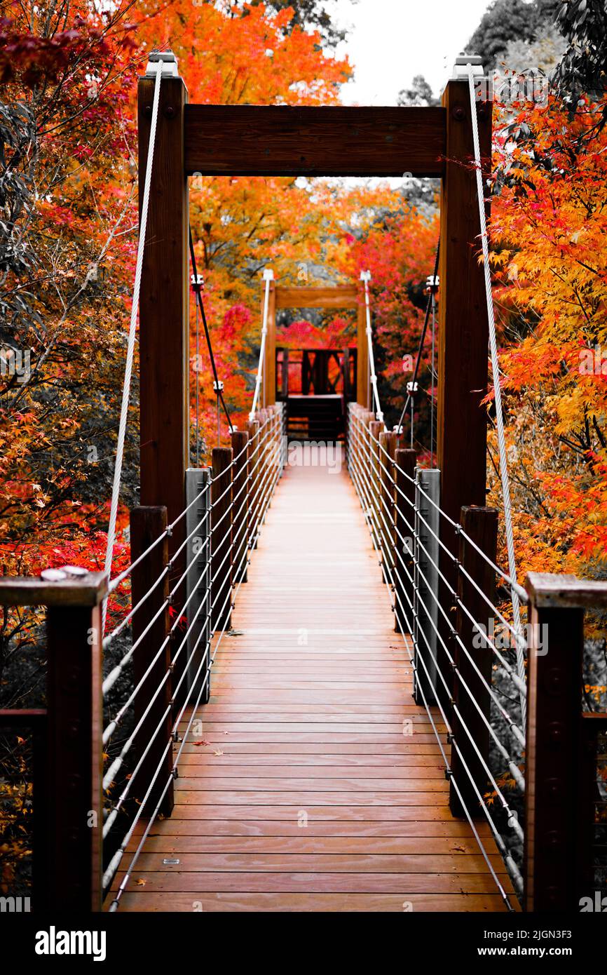 Image of suspension bridge in a public park surrounded by Japanese ...
