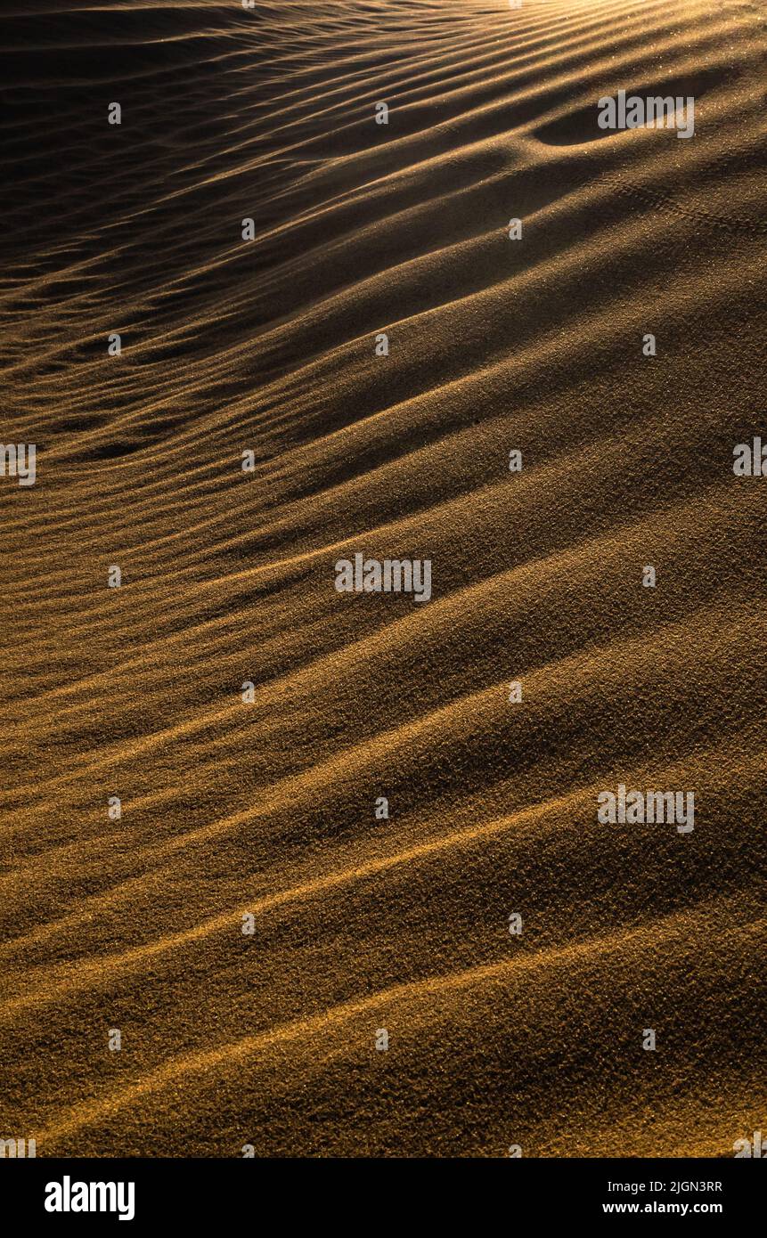 Gold desert sunset sand texture hi-res stock photography and images - Alamy
