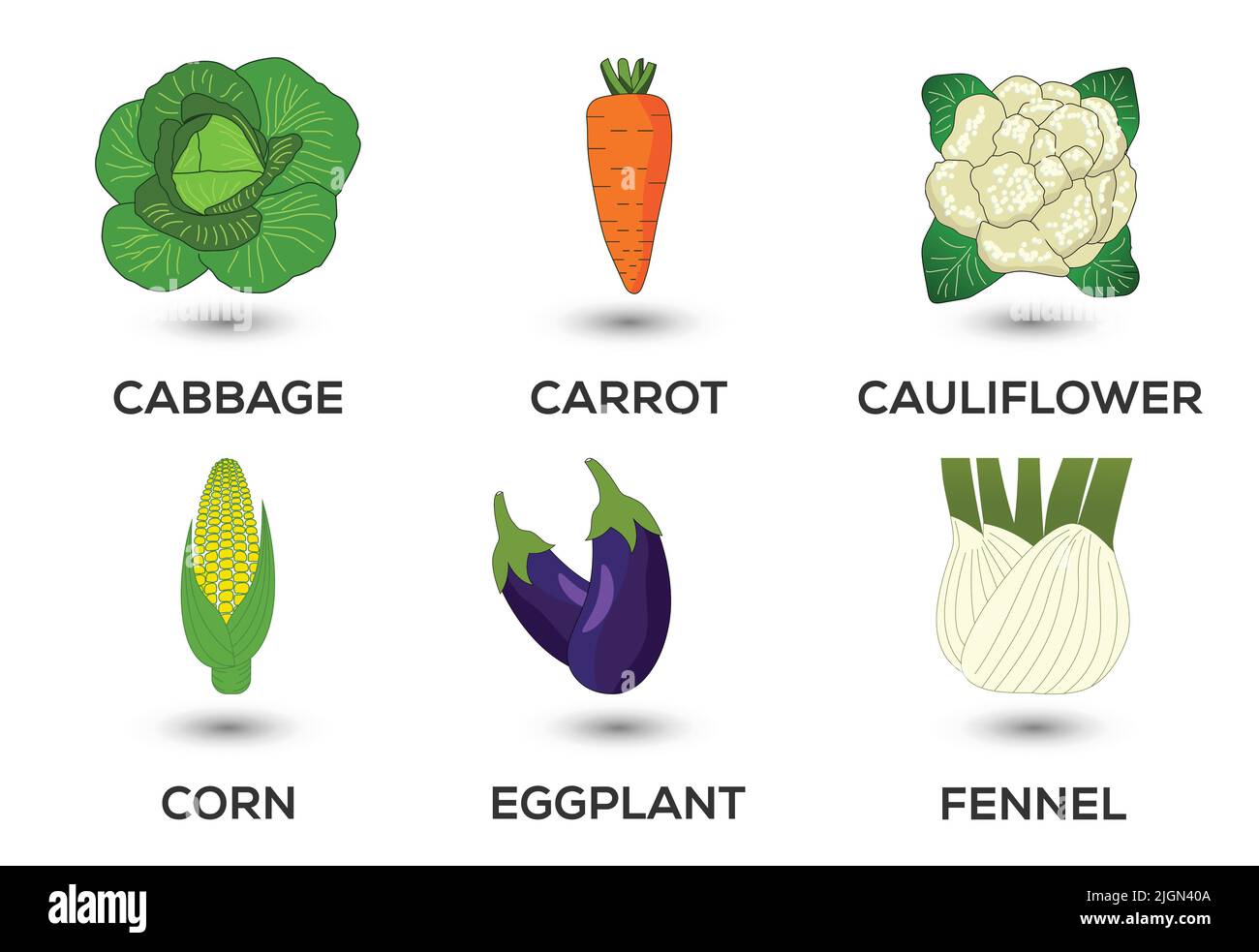 Vegetable icons set vector illustration. Collection of farm products ...