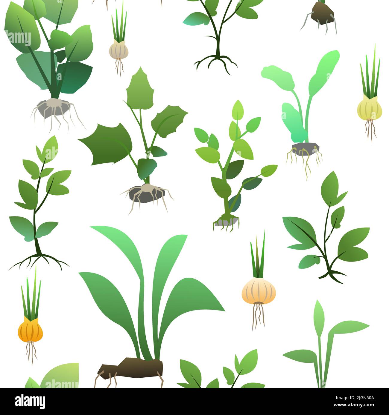 Seedling garden plants with roots. Sowing agricultural material ...