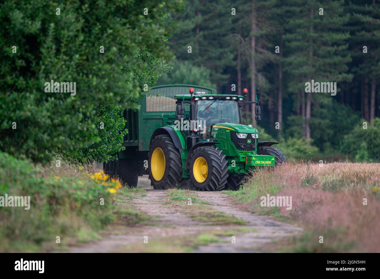 A working John deere tractor carting grain from the harvest on a North ...