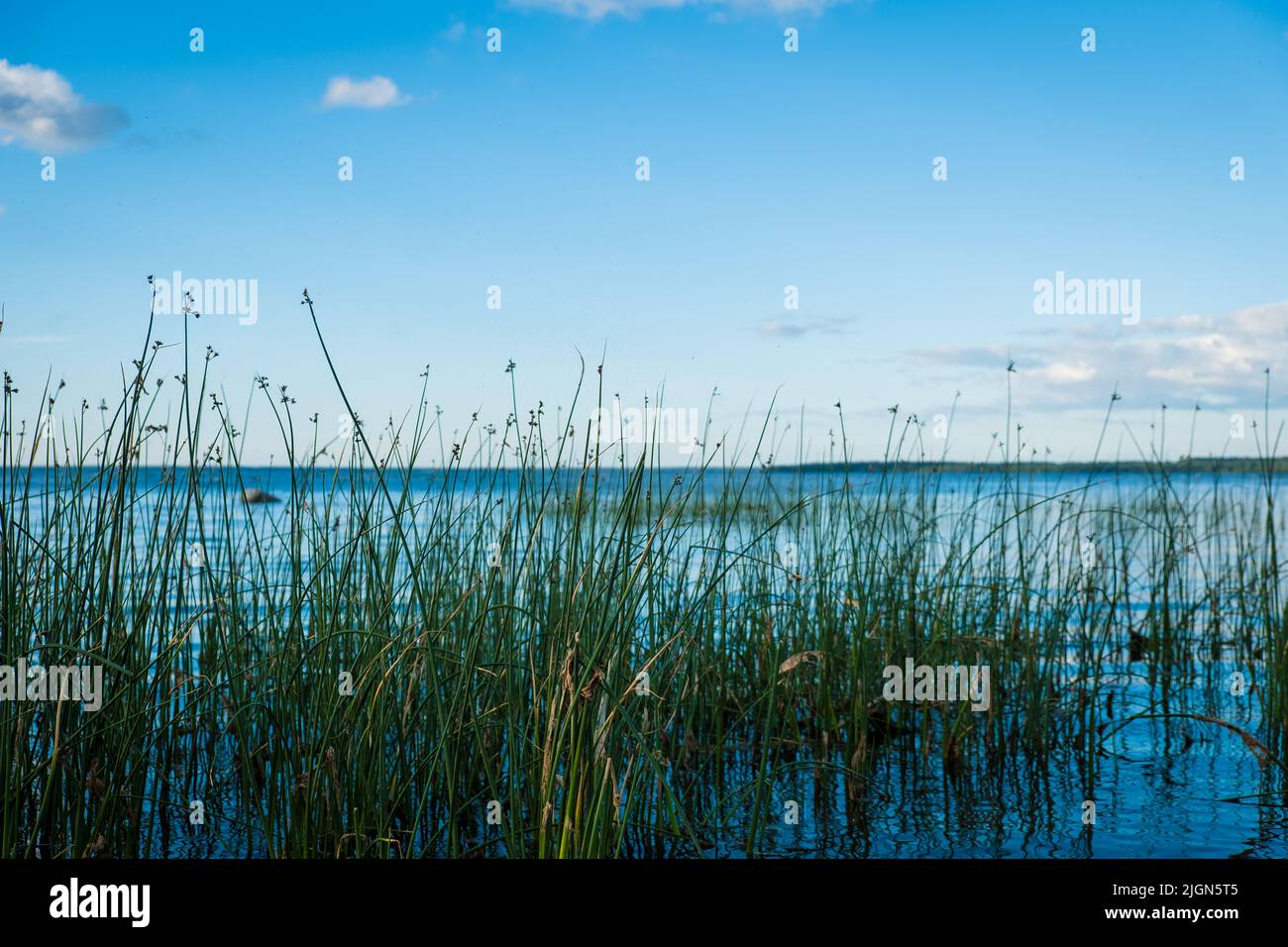 Beautiful nature background scene on a beach during summer daytime ...