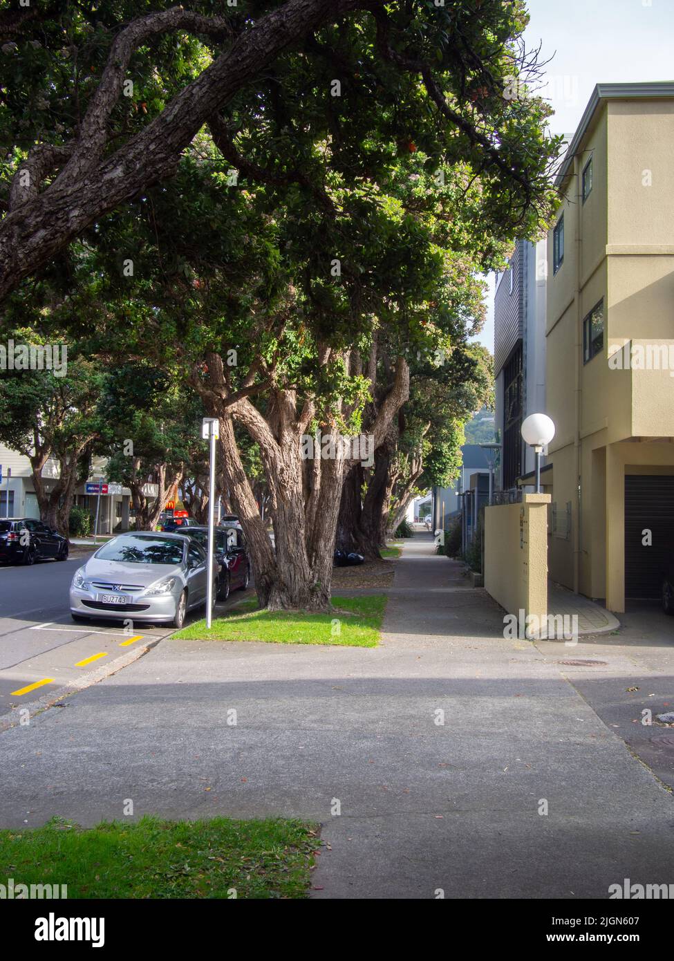 Urban Street Lower Hutt Stock Photo - Alamy