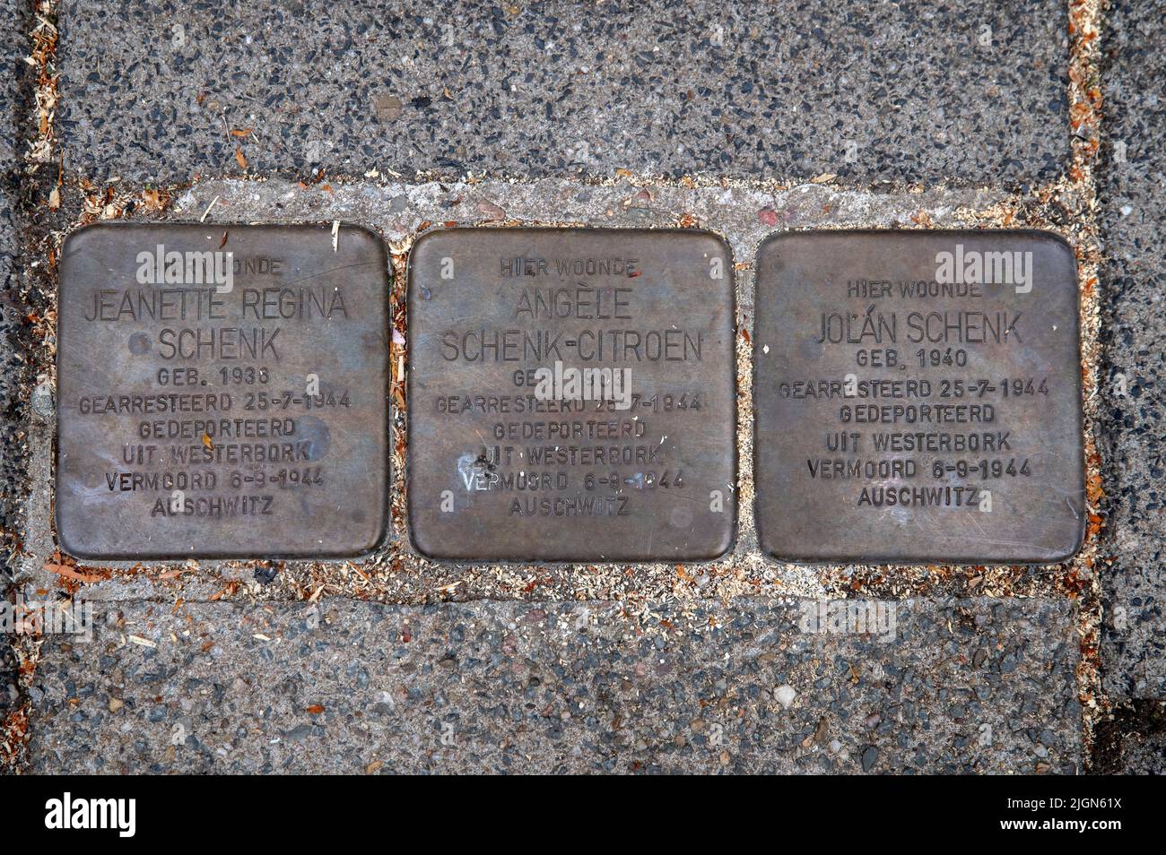 Stolperstein Memorial Stone From The Family Schenk At Amsterdam The ...