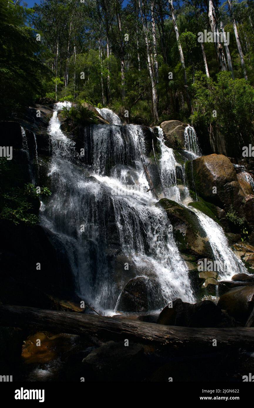 Toorongo Falls are quite spectacular when there's been a bit of rain ...