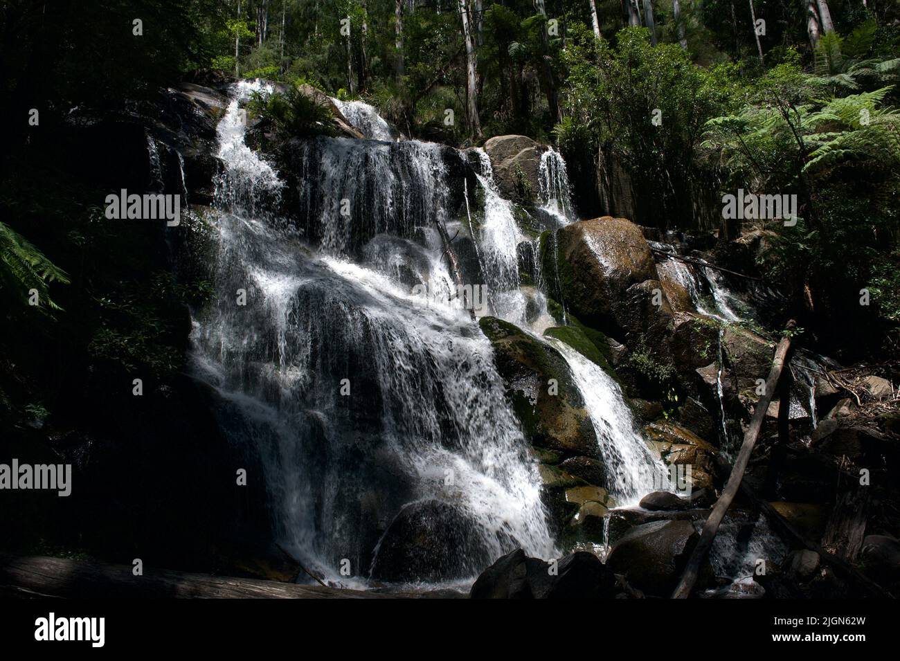 Toorongo Falls are quite spectacular when there's been a bit of rain ...