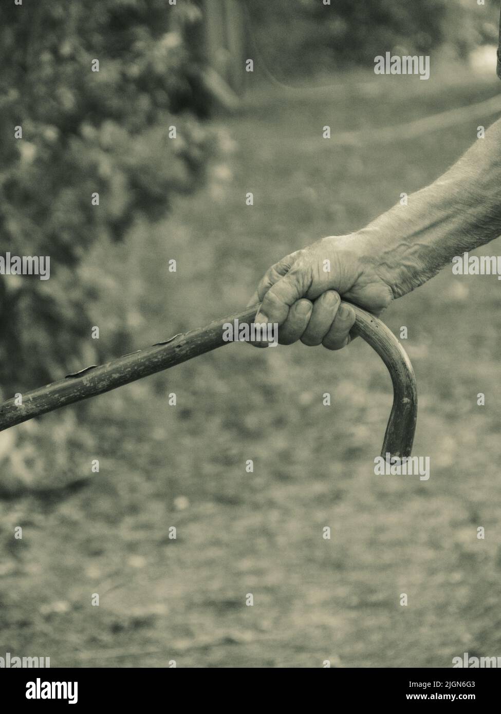 Close up hand holding pole hi-res stock photography and images - Alamy