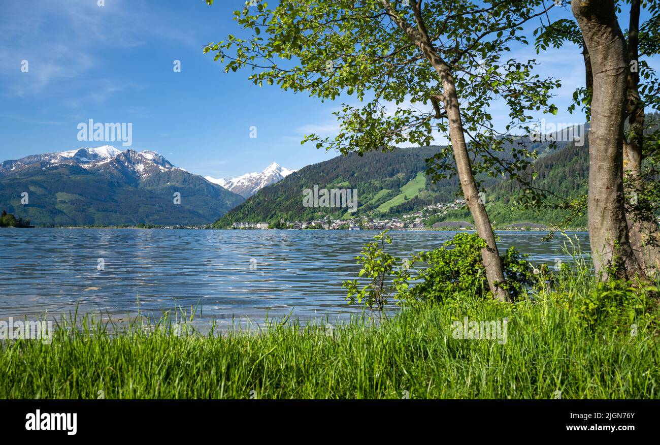Summer in beautiful Salzburger Land, shores of Lake Zell, in the ...