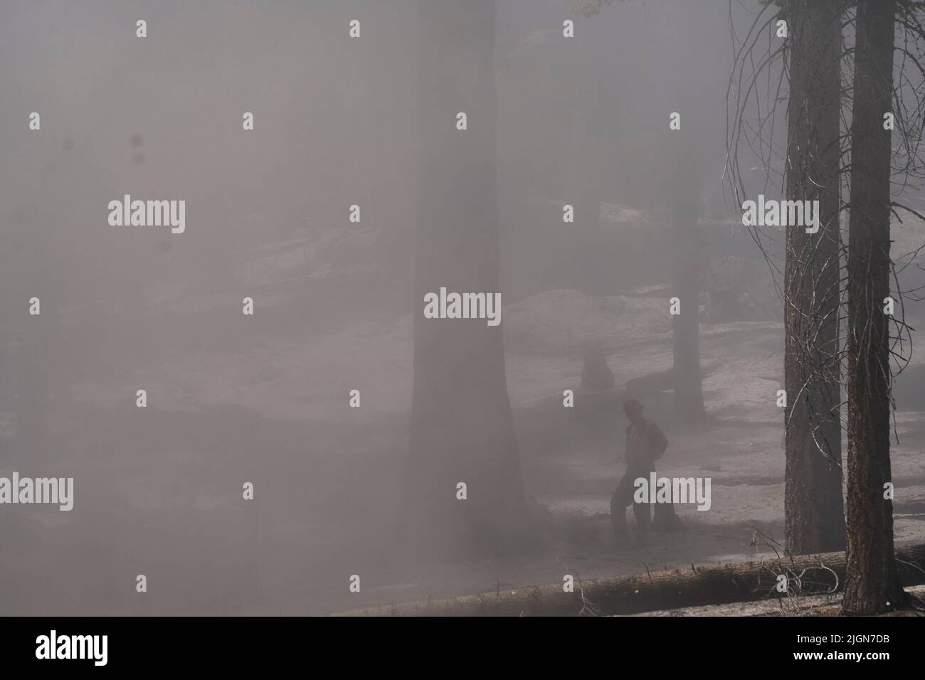 Timber faller hi-res stock photography and images - Alamy