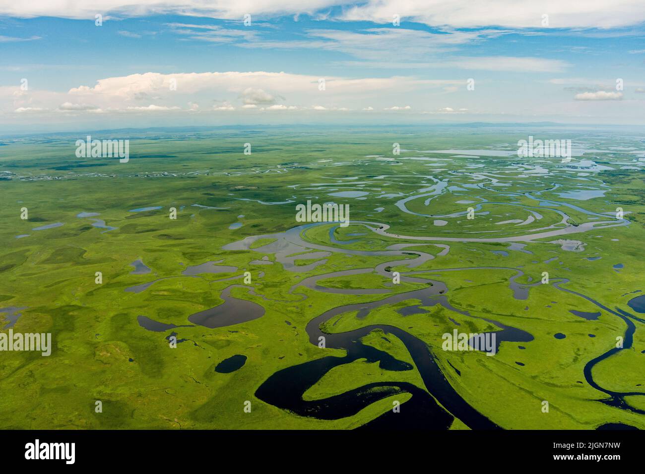 river top view shooting from a drone . river on a green background ...