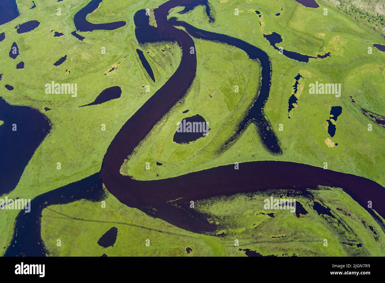 river top view shooting from a drone . river on a green background ...