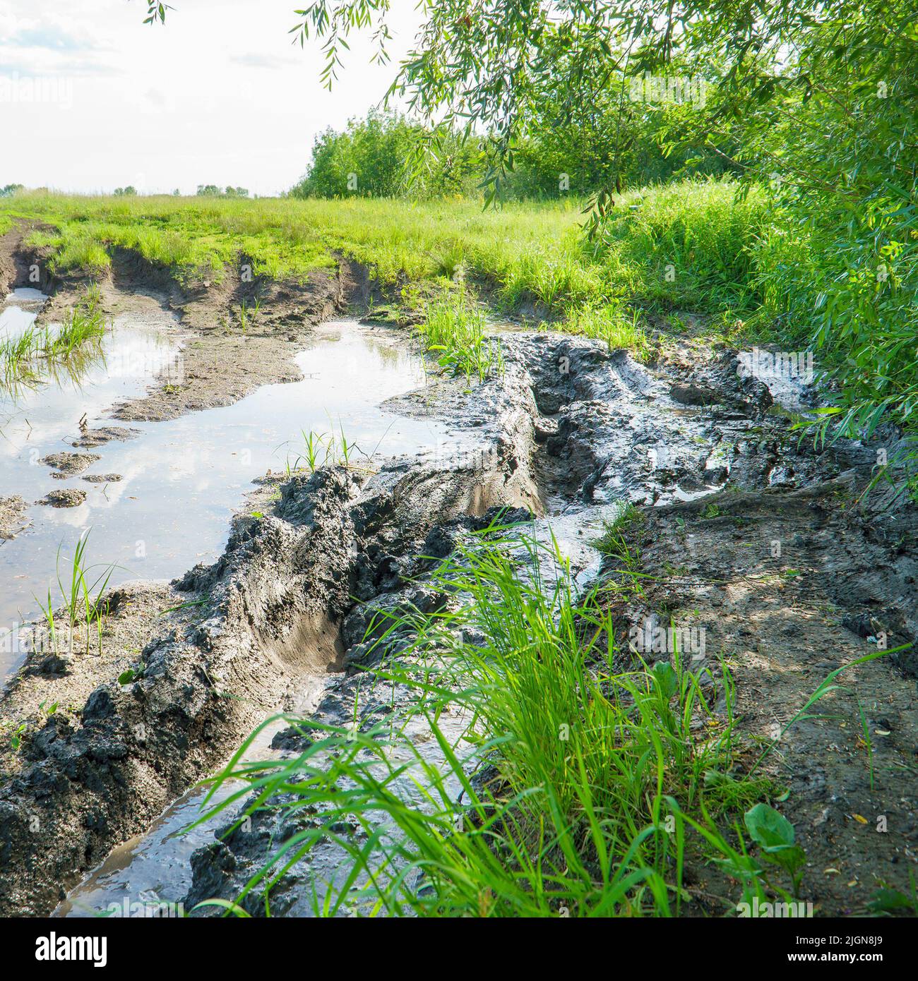 A country road in mud, slush and water after rain. Mud on the forest ...