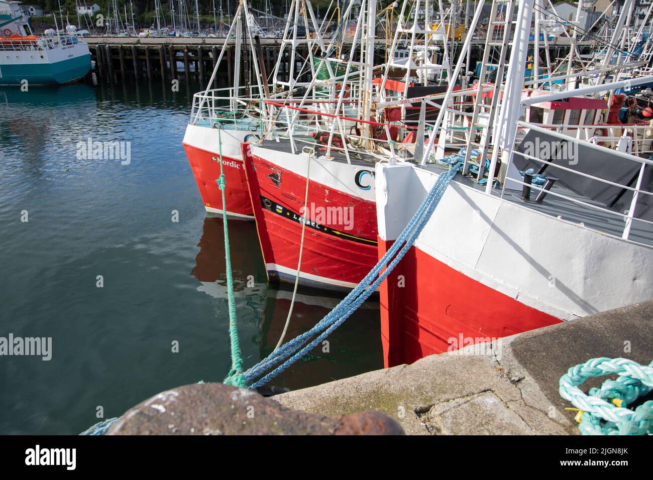 Colourful fishing boats, Mallaig harbour, Lochaber, Scotland Stock ...