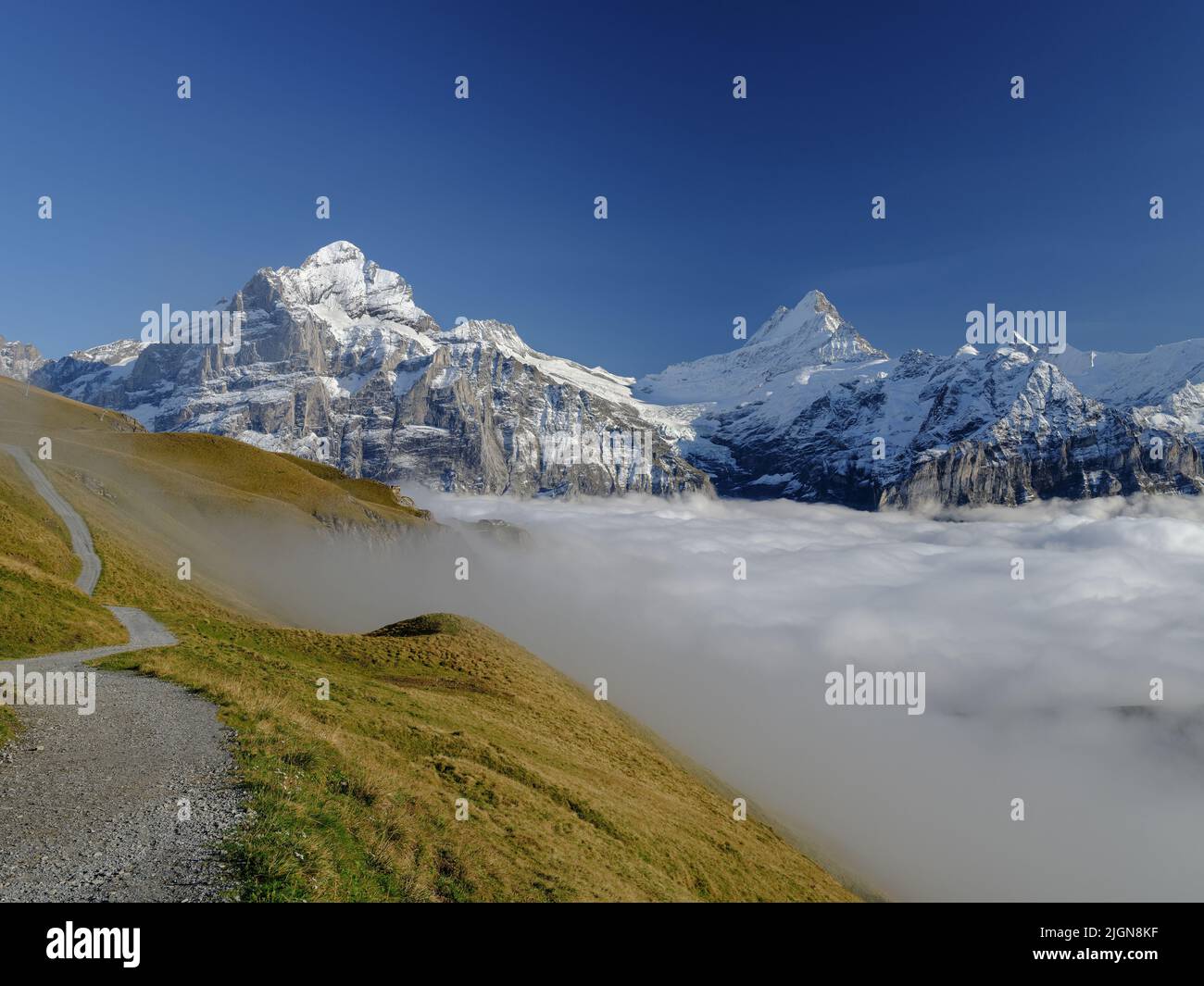 Grindelwald, Switzerland. Landscape in the highlands in the summertime ...