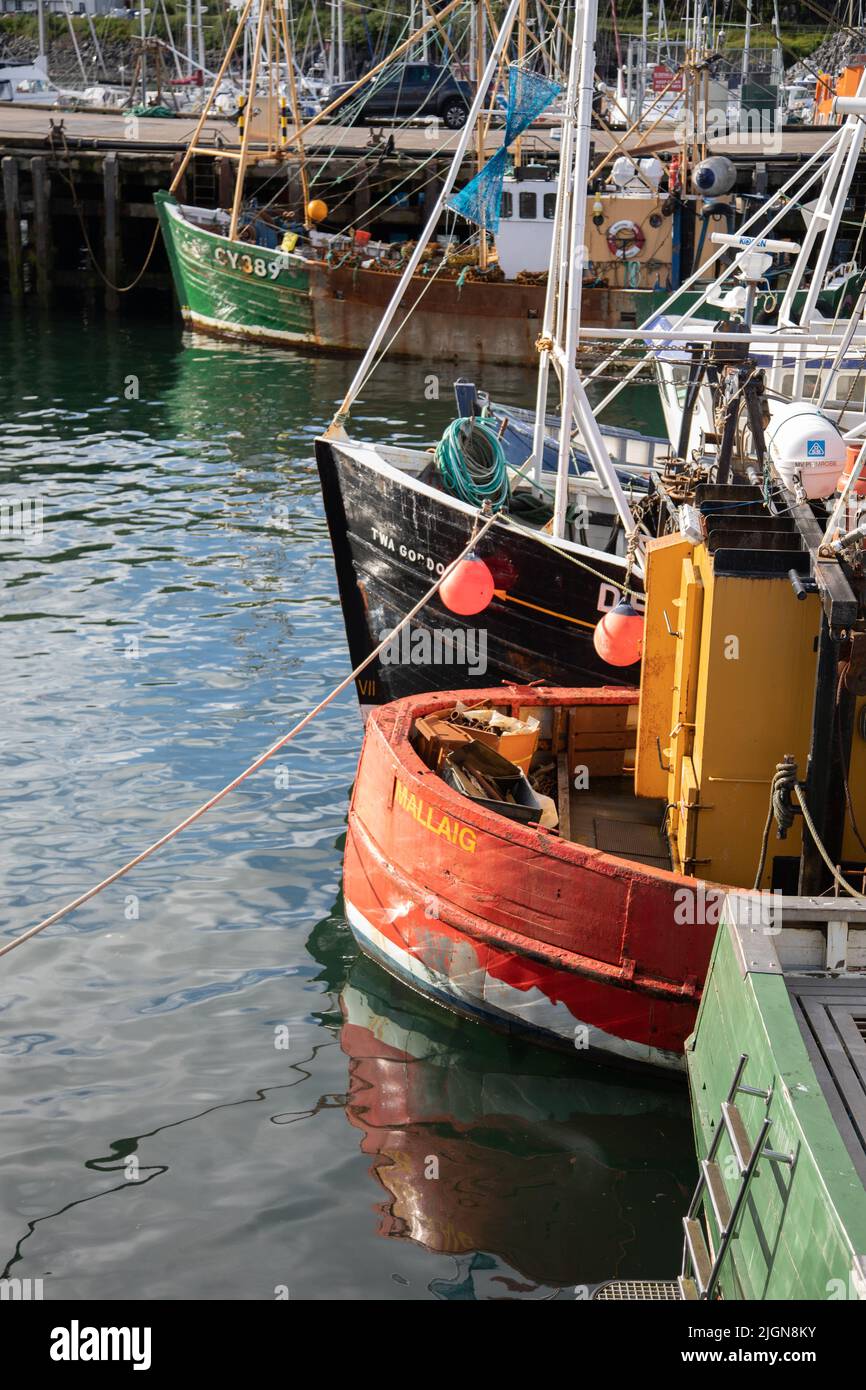 Colourful fishing boats, Mallaig harbour, Lochaber, Scotland Stock ...