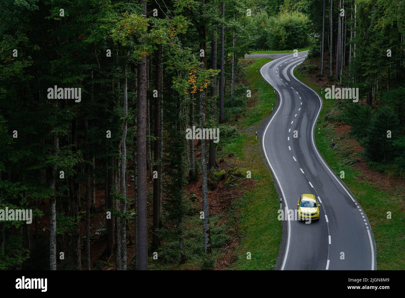 Fast moving car with motion blur effect. Transport on a forest road in ...