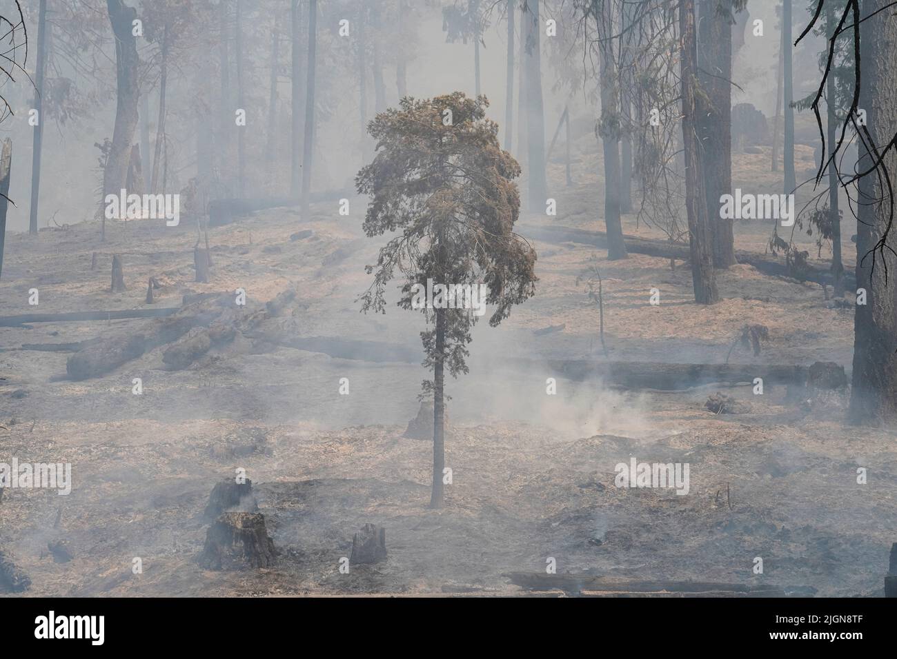 Yosemite fire 2022 hi-res stock photography and images - Alamy