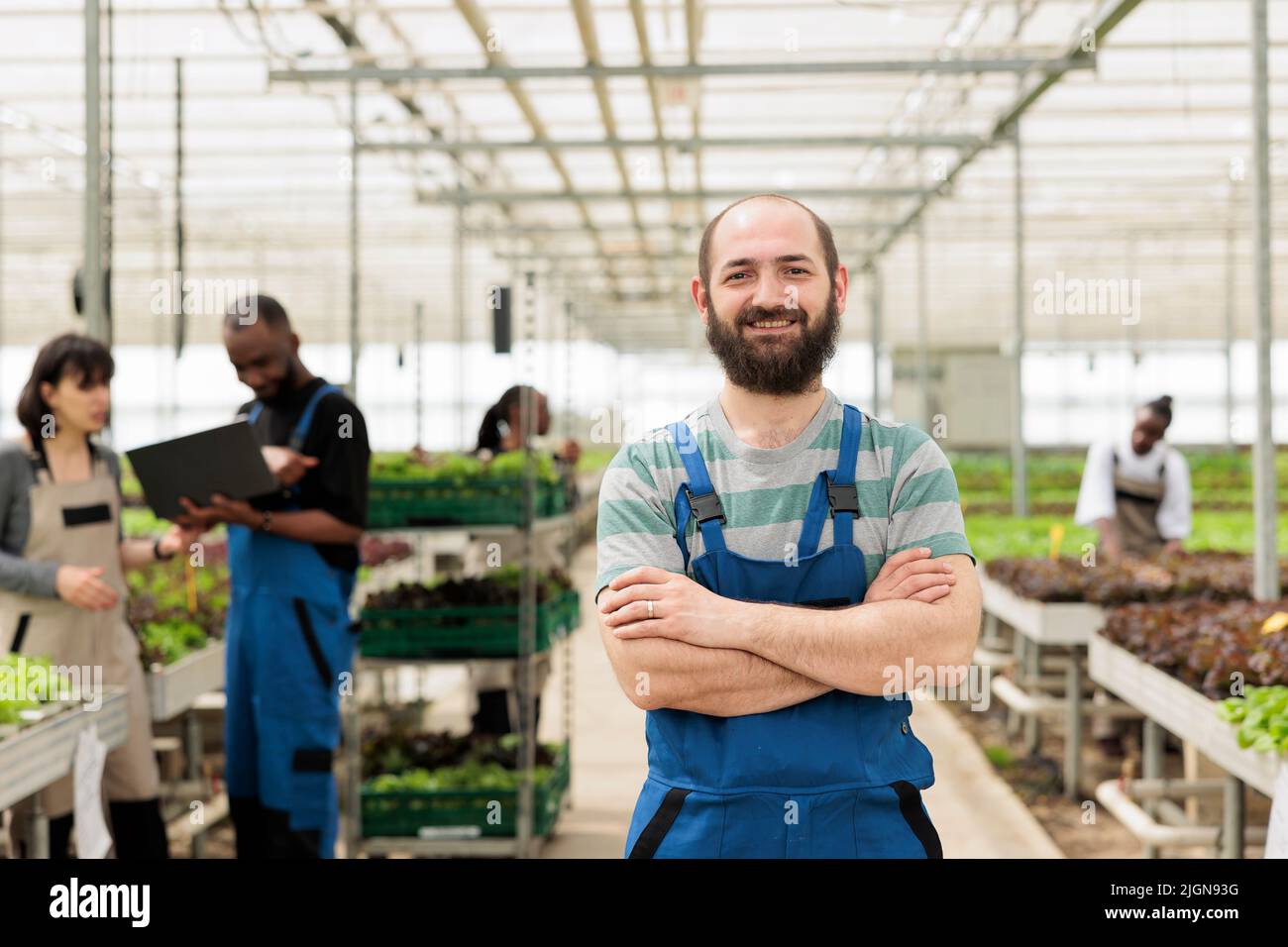 Portrait of farmer posing happy in organic crops and vegetables farm ...