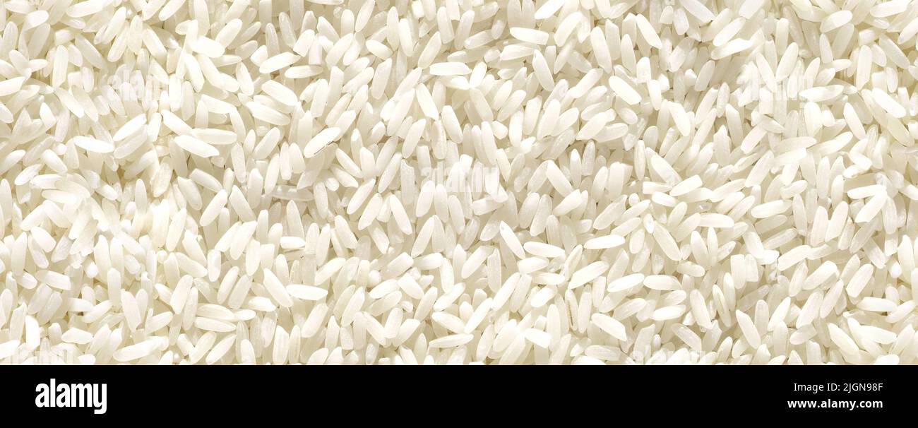 Medium and round grain white jasmine rice texture for background ...