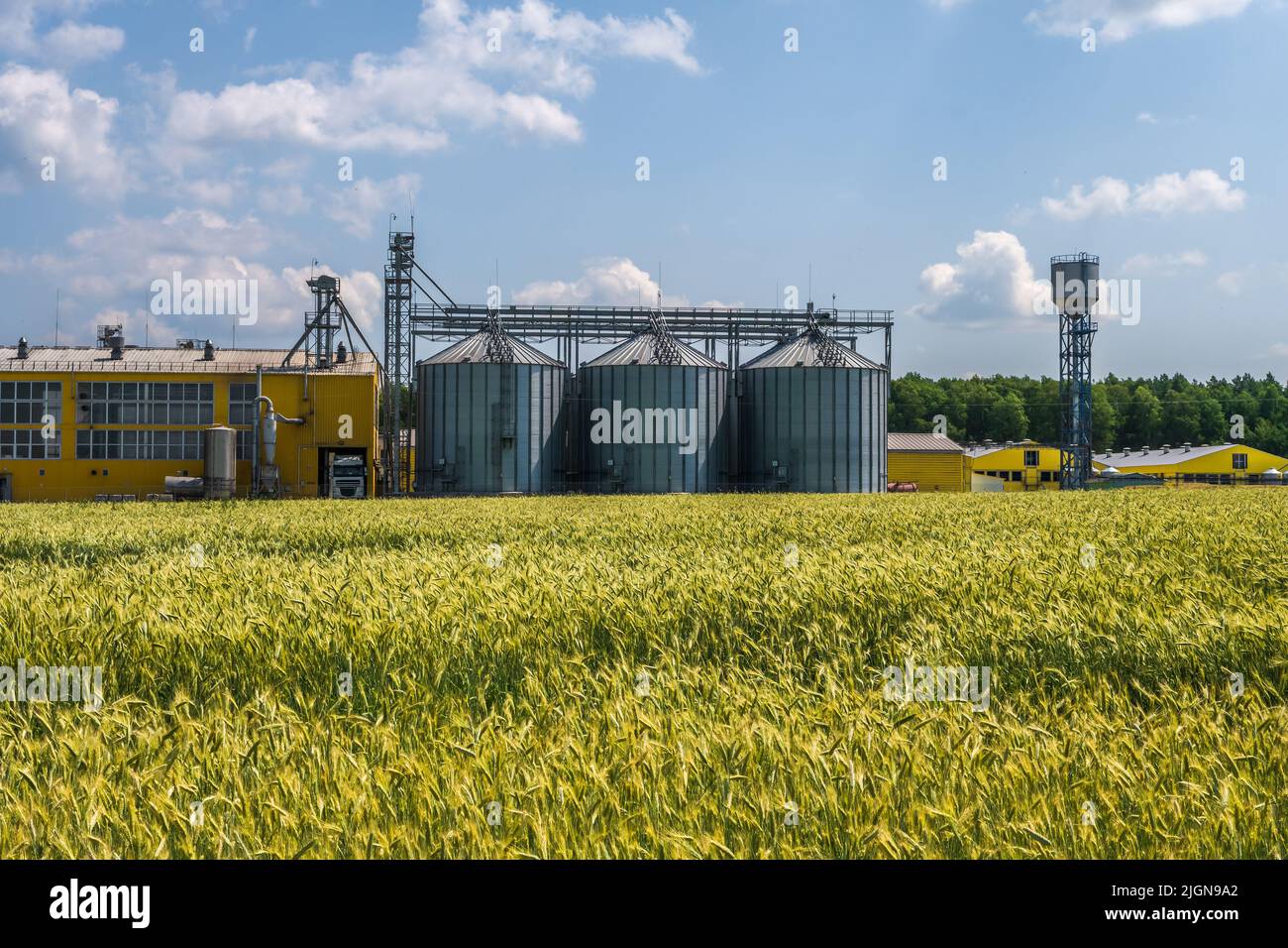 aerial view on silos and agro-industrial livestock complex on agro ...