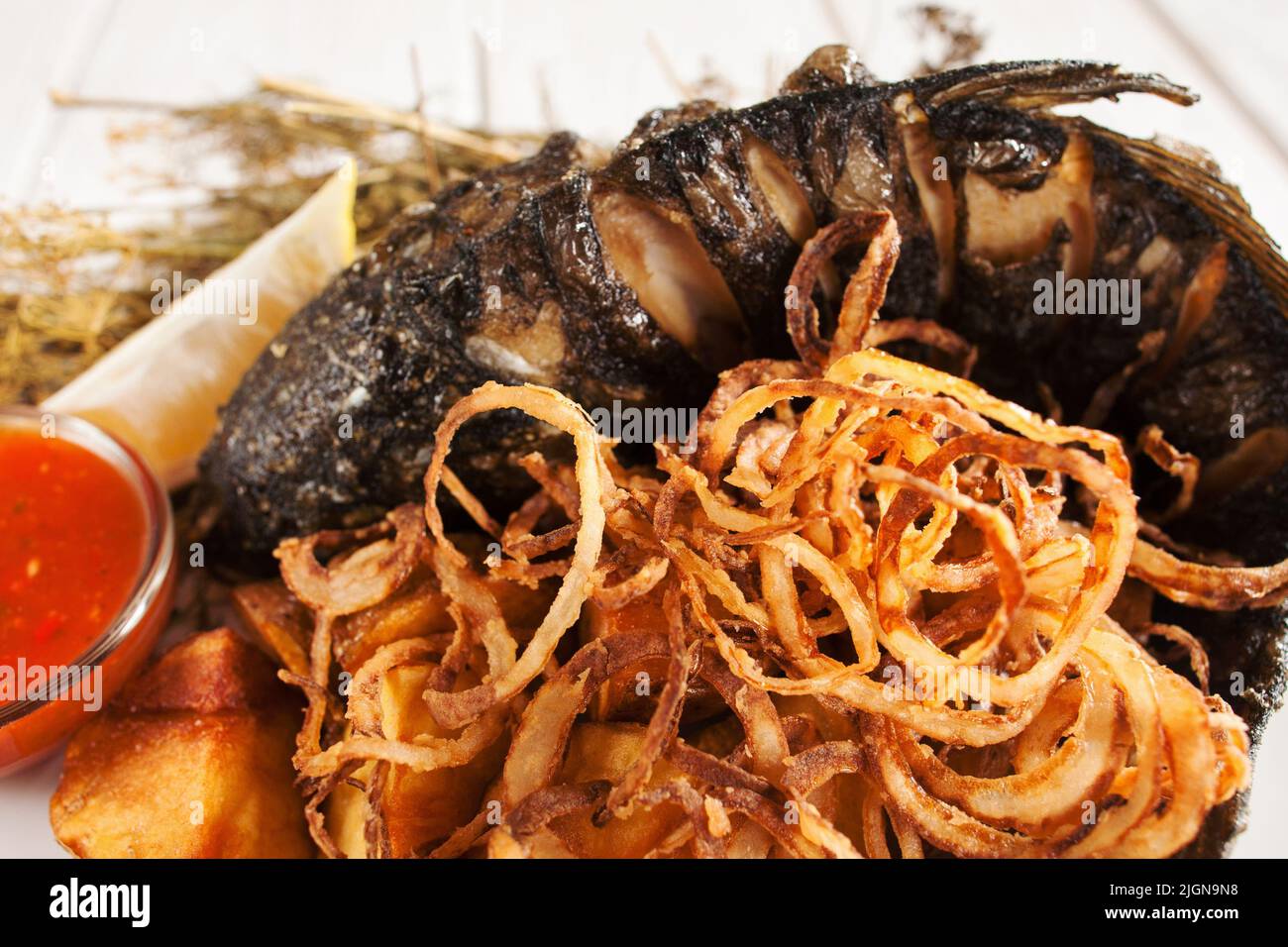 Fish ring hi-res stock photography and images - Alamy