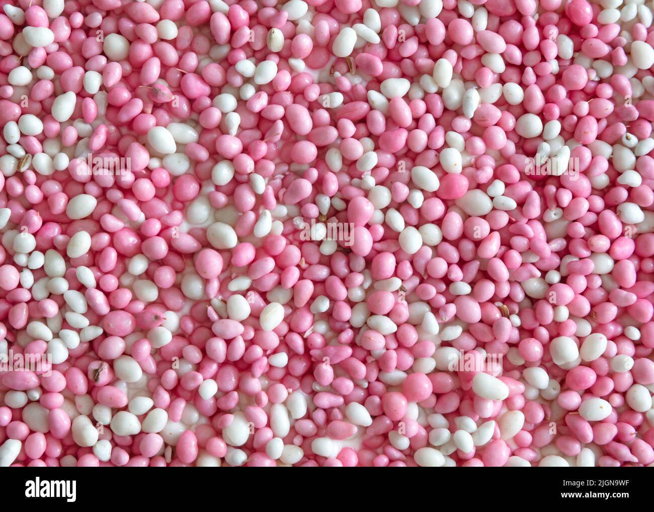 Baby mice not cat hi-res stock photography and images - Alamy