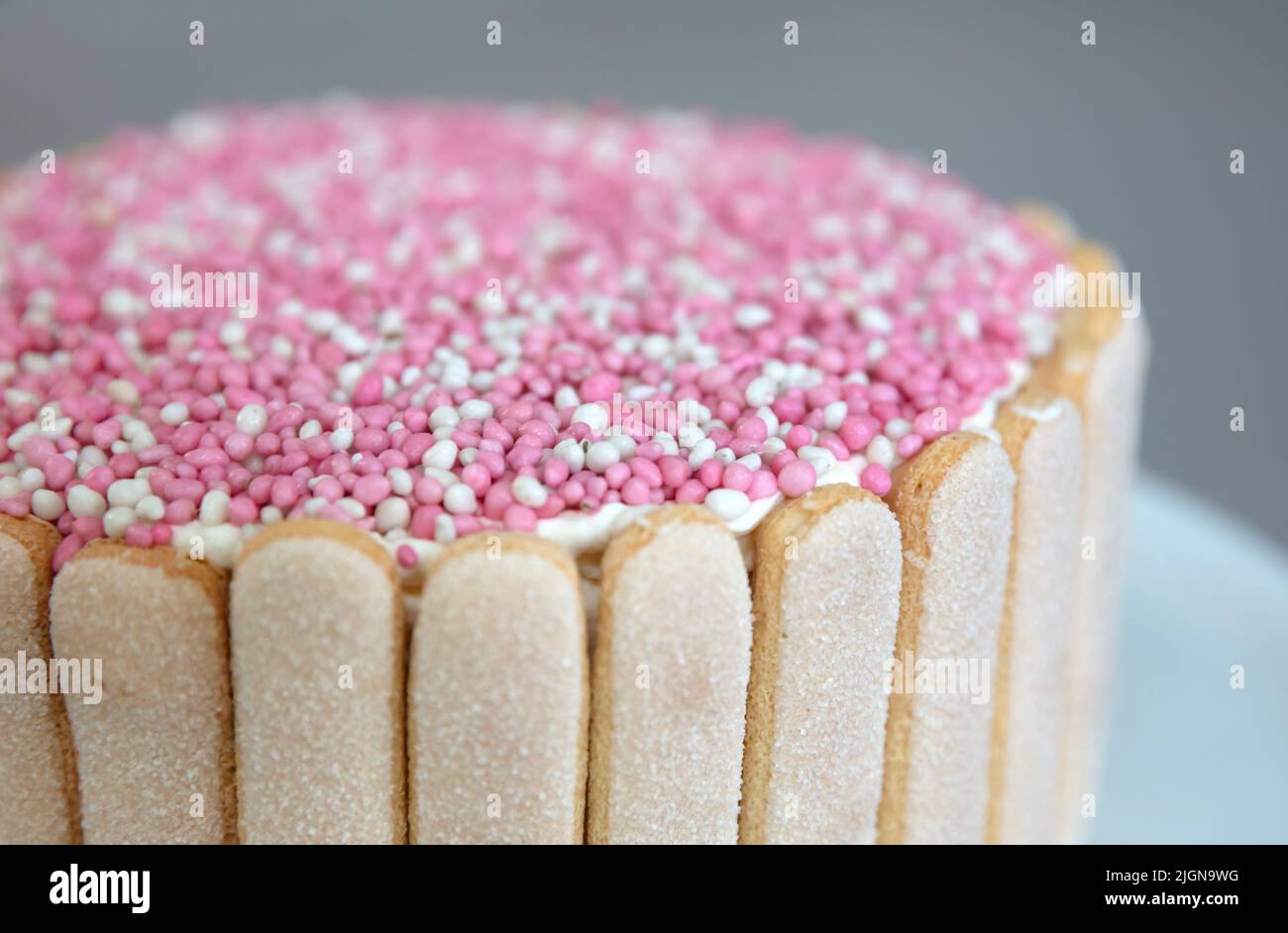 Typical Dutch mouse rusk with pink mice on a cake, for baby girl shower ...