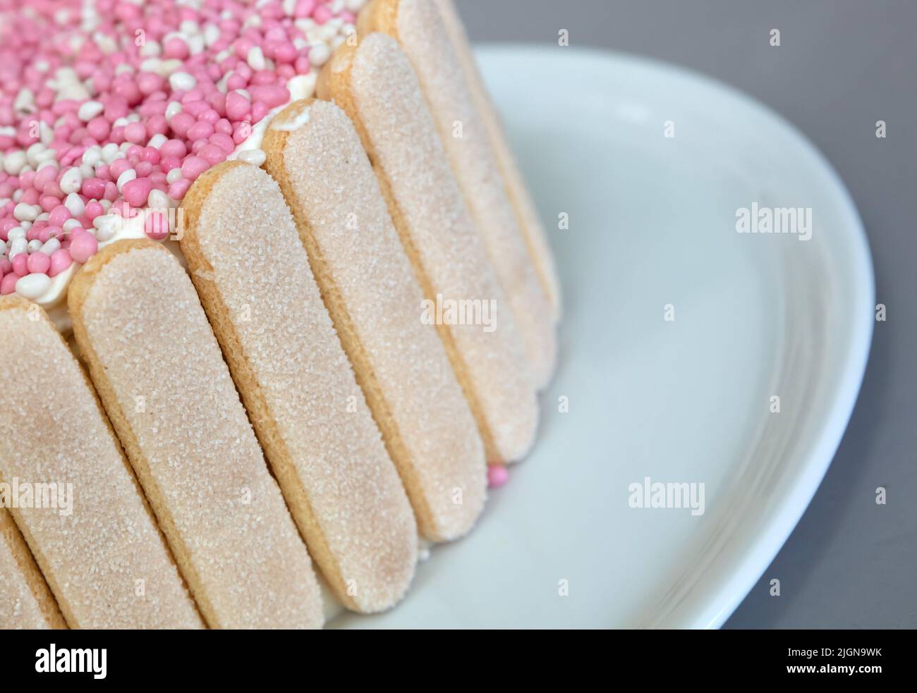 Typical Dutch mouse rusk with pink mice on a cake, for baby girl shower ...