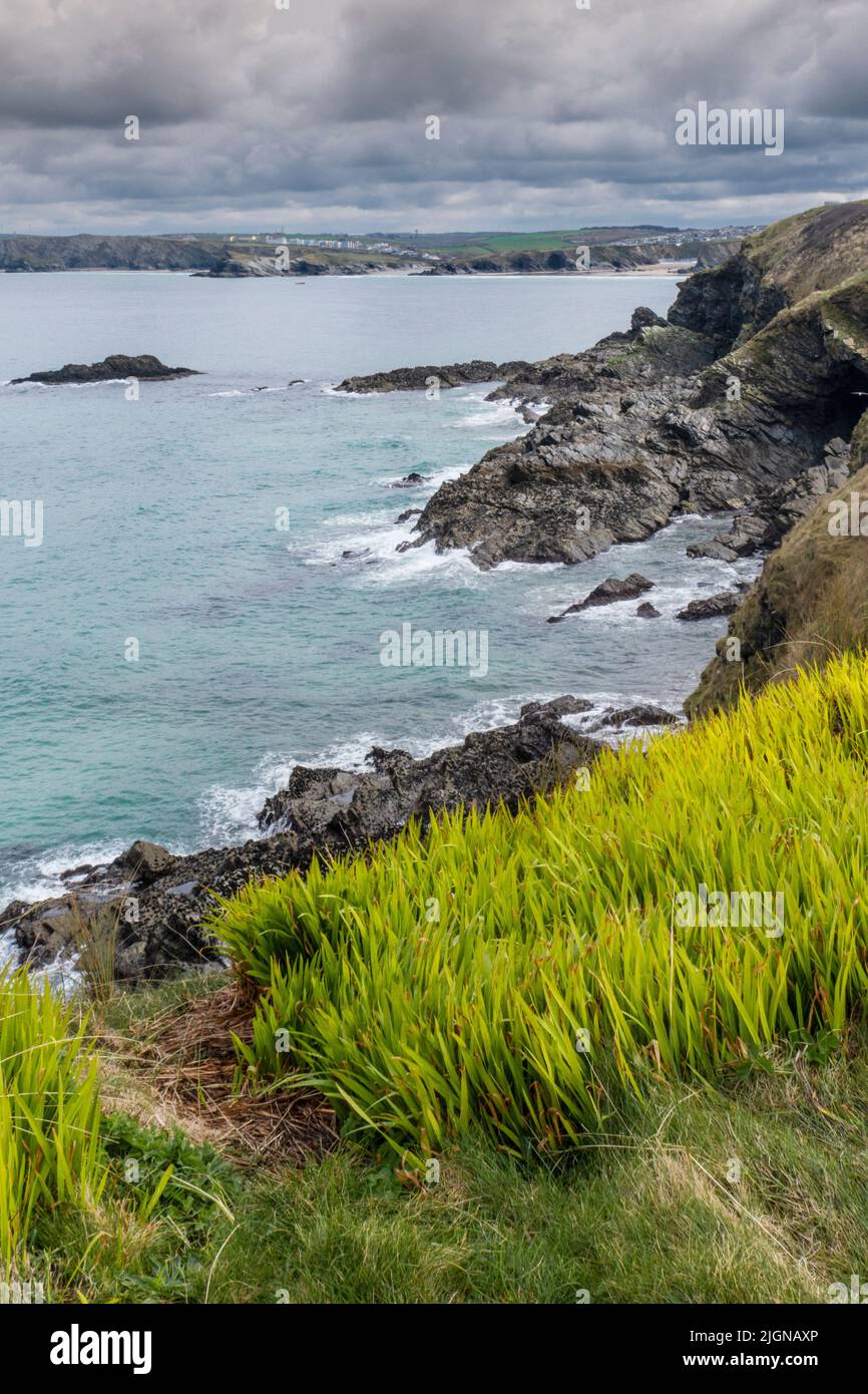 The area of Newquay Bay known as The Gazzle in Cornwall Stock Photo - Alamy