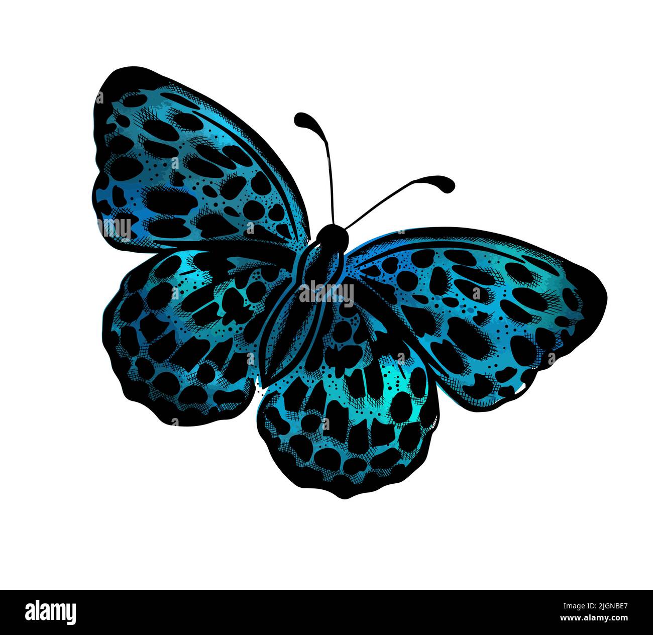 Beautiful blue butterfly. Vector illustration Stock Vector Image & Art ...