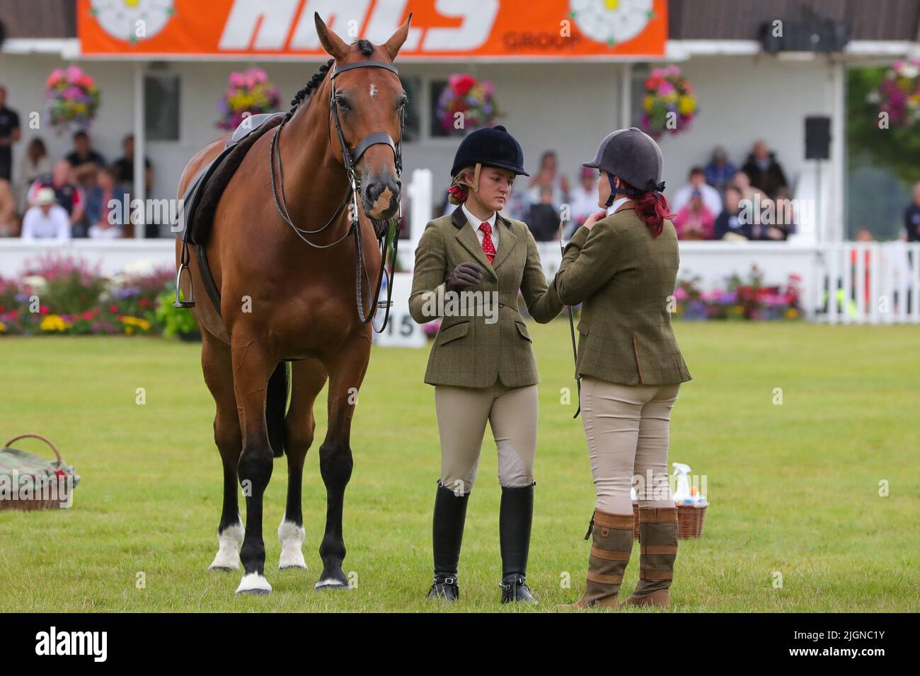 Horses are judged during the Novice lightweight hunters during day one ...