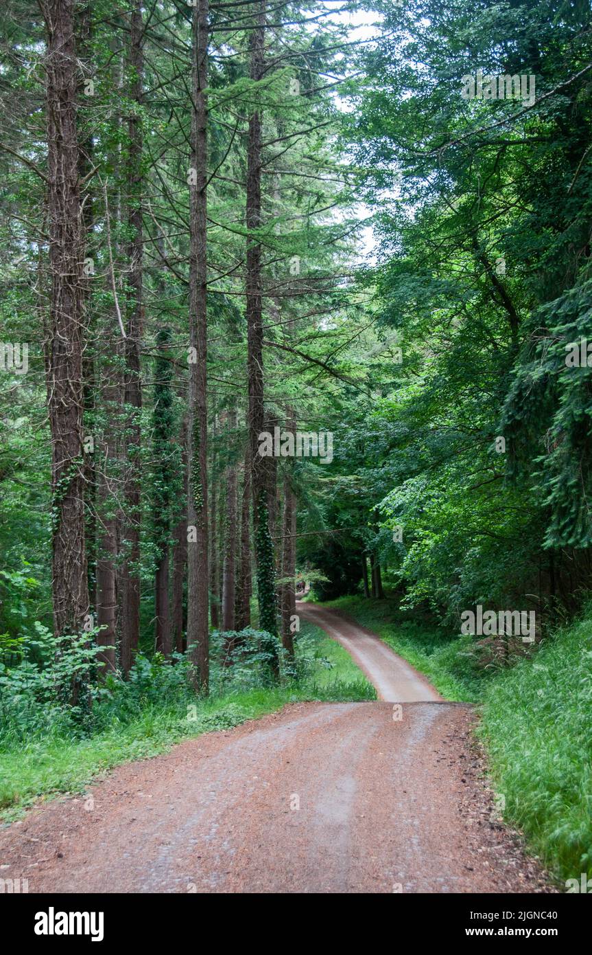 Around the UK Access Road in the Mulgrave Estate, near Whitby Stock ...