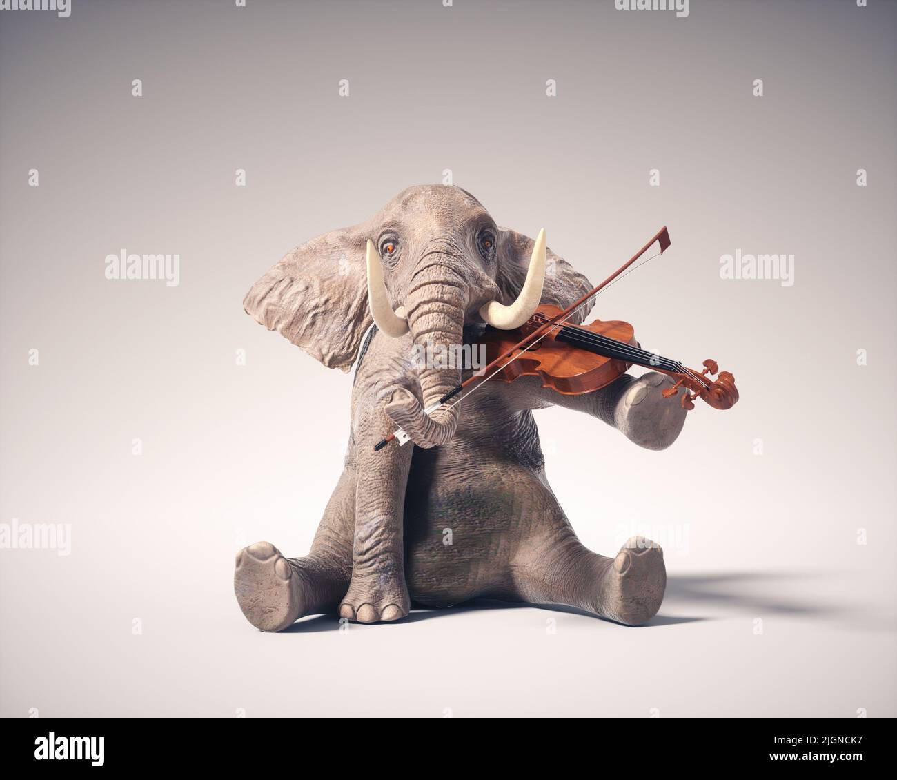 Comic violin hi-res stock photography and images - Alamy