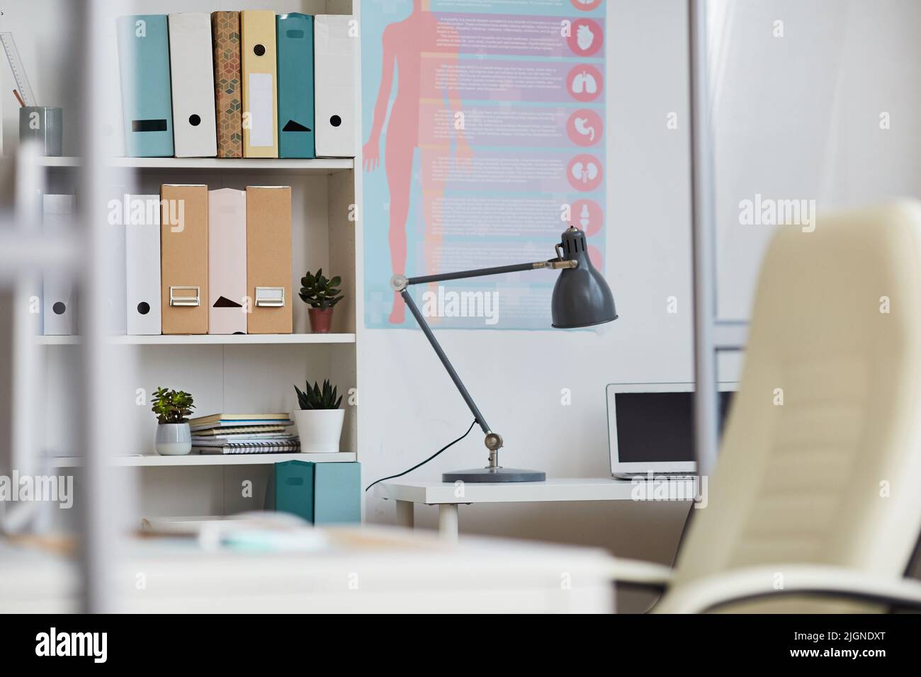 Interior of empty doctors office with body description banner on wall ...