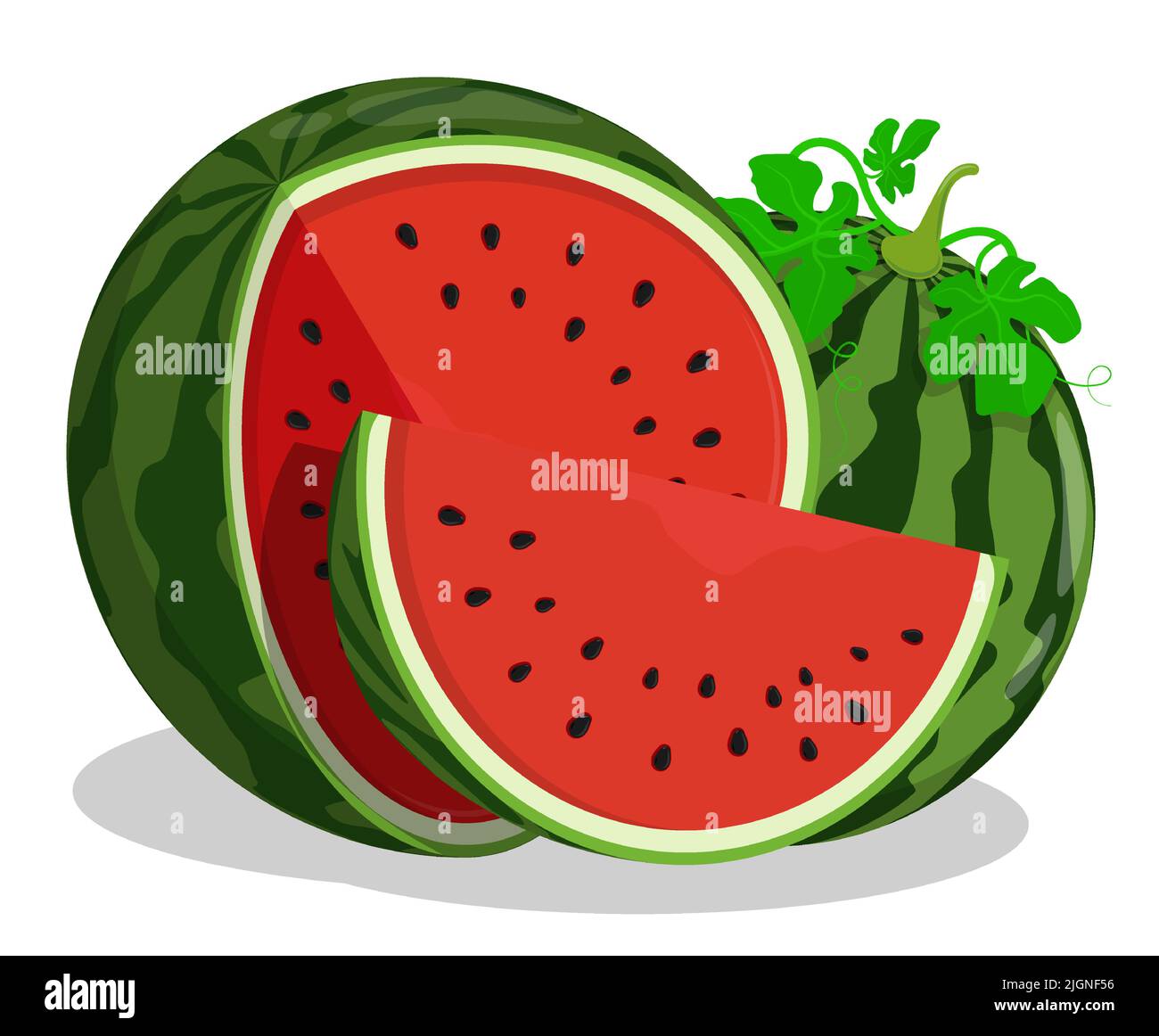 Melon fields Stock Vector Images - Alamy