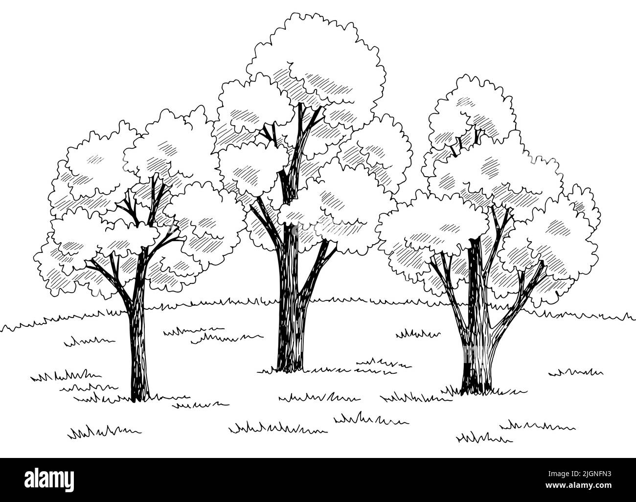 Forest glade graphic black white landscape sketch illustration vector ...