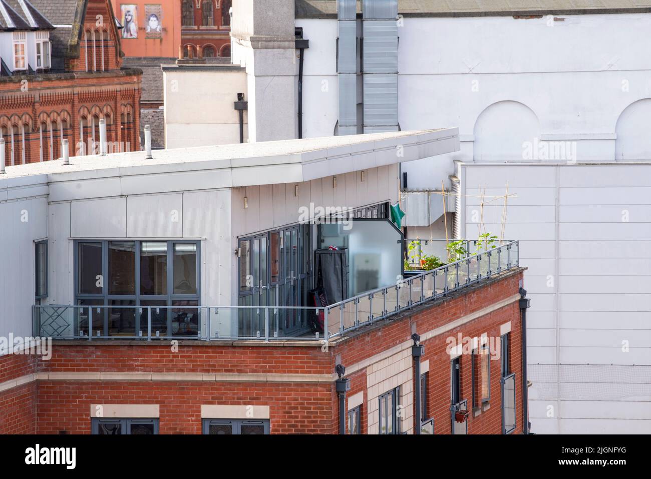 View of a rooftop garden from the roof of the Confetti Building in ...