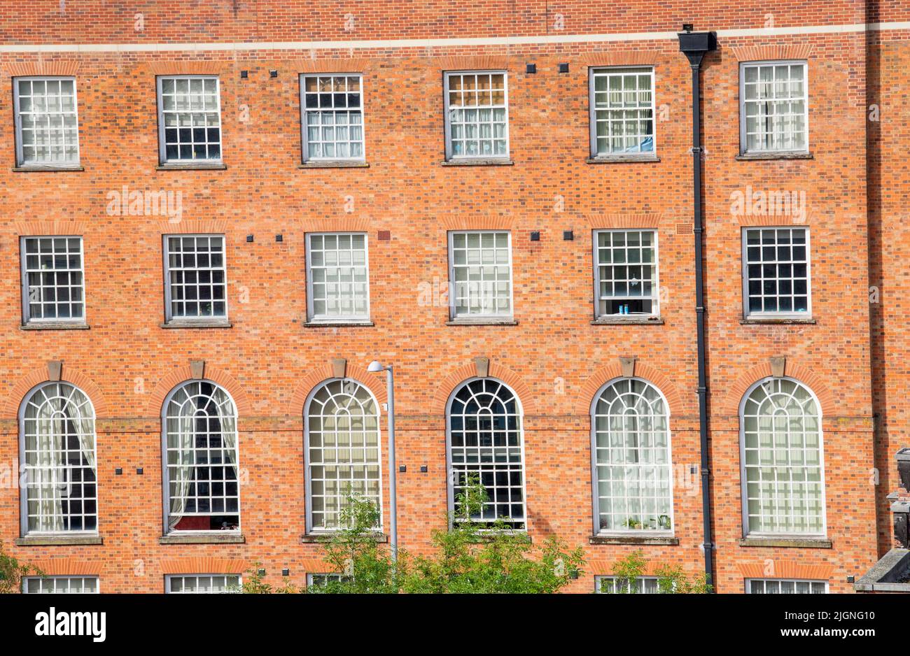 View of the front of a building from the roof of the Confetti Building ...