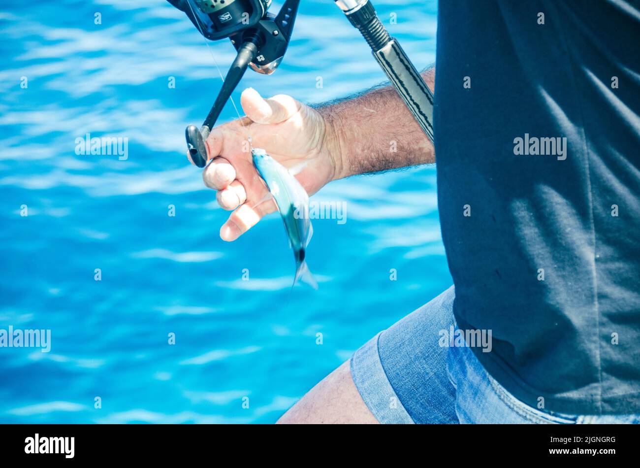 Hopping fish hi-res stock photography and images - Alamy