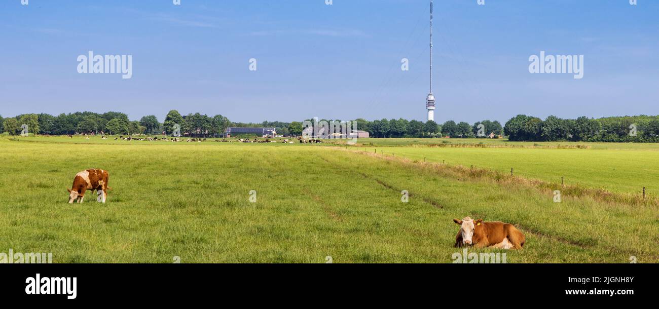 Landscape with transmission tower Smilde The Netherlands Stock Photo ...
