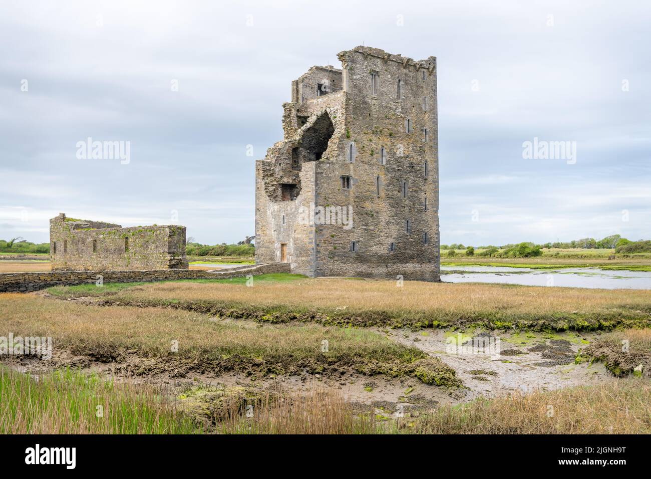 The remains of Carrigafoyle Castle, Ballylongford, County Kerry Ireland ...