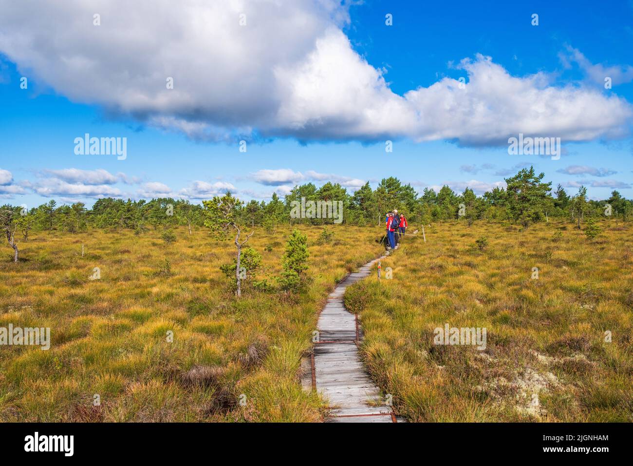 Raised footpath hi-res stock photography and images - Alamy