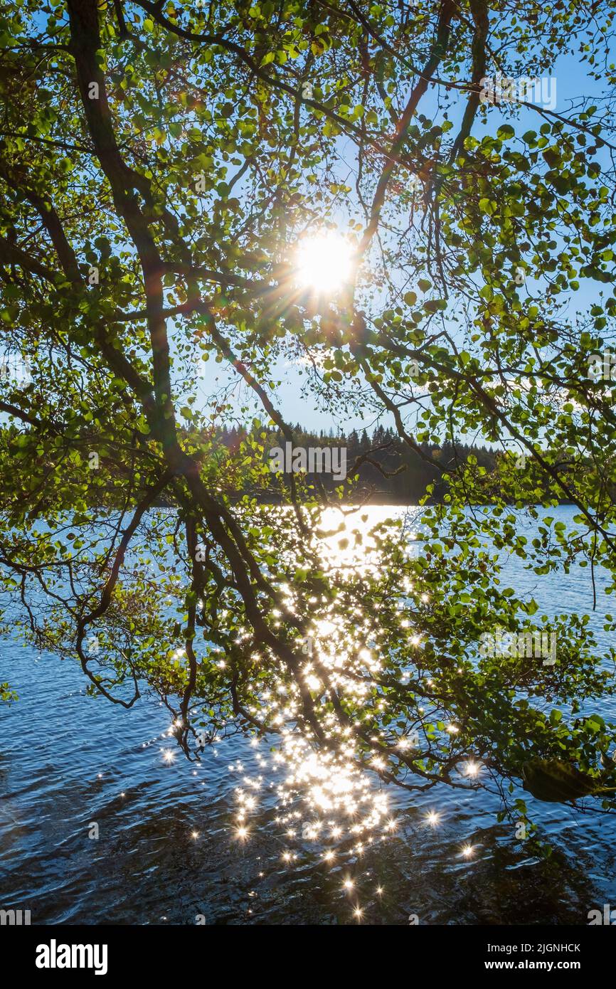 Sun shining through water surface hi-res stock photography and images ...