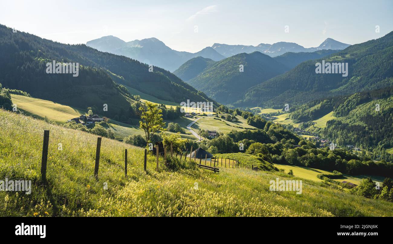 Beautiful morning mood in the idyllic Bavarian Alps, Summertime, Ramsau ...